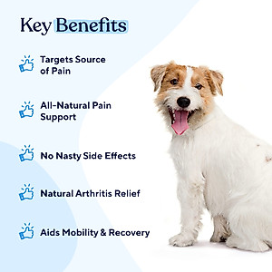 Pawfy Dog Pain Relief Anti Inflammatory | Joint Supplement for Dogs - Ideal for Senior & Large Dogs | Natural Hip & Joint Care Support | Dog Arthritis Pain Relief | Fast-Acting 30 Soft Chews