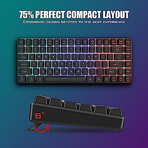 RedThunder K84 Wireless Keyboard and Mouse Combo, Rainbow LED Backlit Rechargeable Battery, 75% Layout 84 Keys TKL Ultra Compact Gaming Keyboard & Lightweight 7200 DPI Honeycomb Optical Mouse (Black)