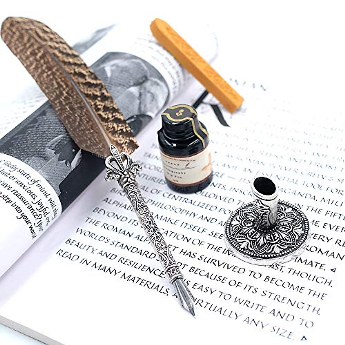 GC Quill Pen Beautiful Nuture Feather Metal Carving Pen Holder 6 Nibs Gift Set GCLL021