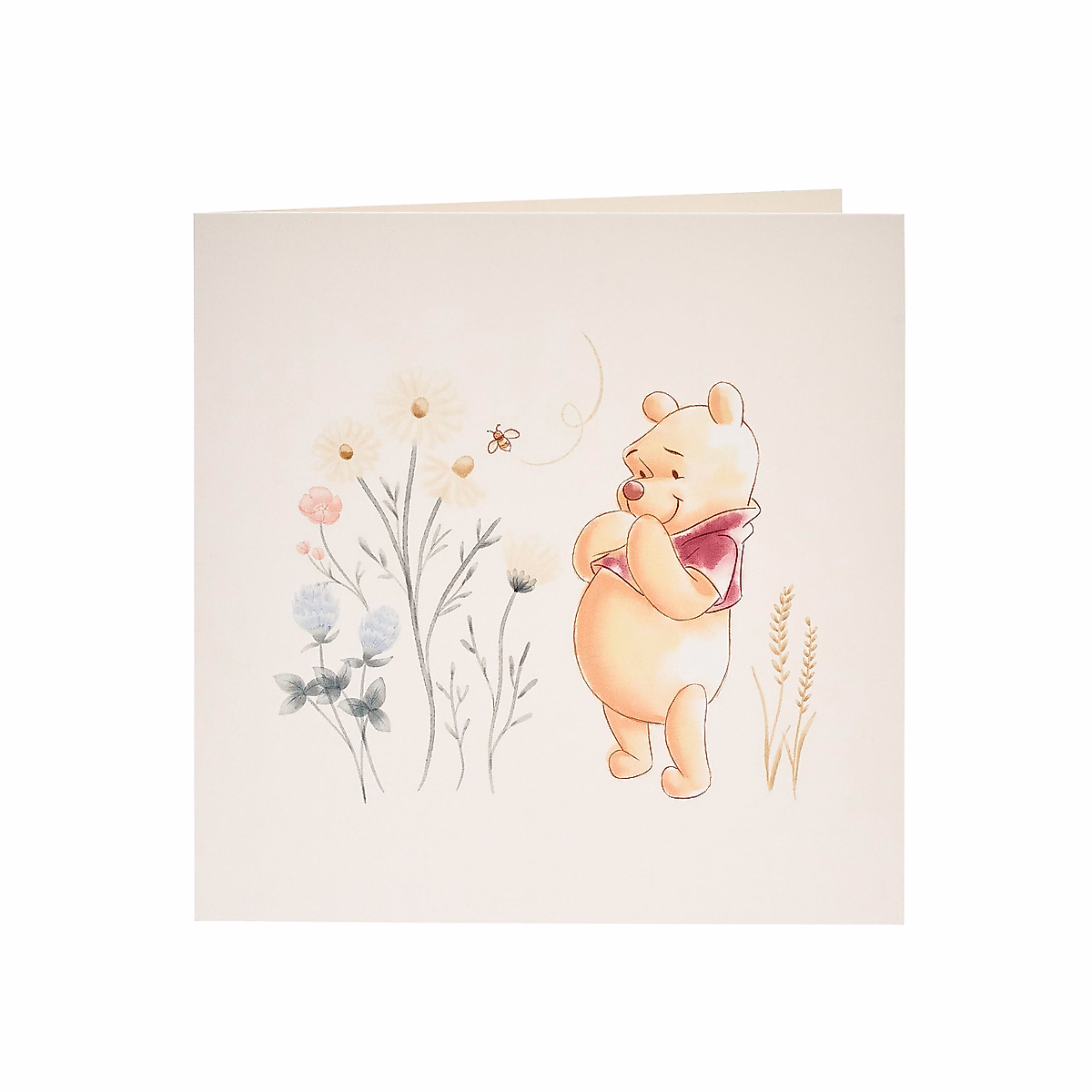 Disney Winnie the Pooh Gift Wrap, Gift Tag and Card