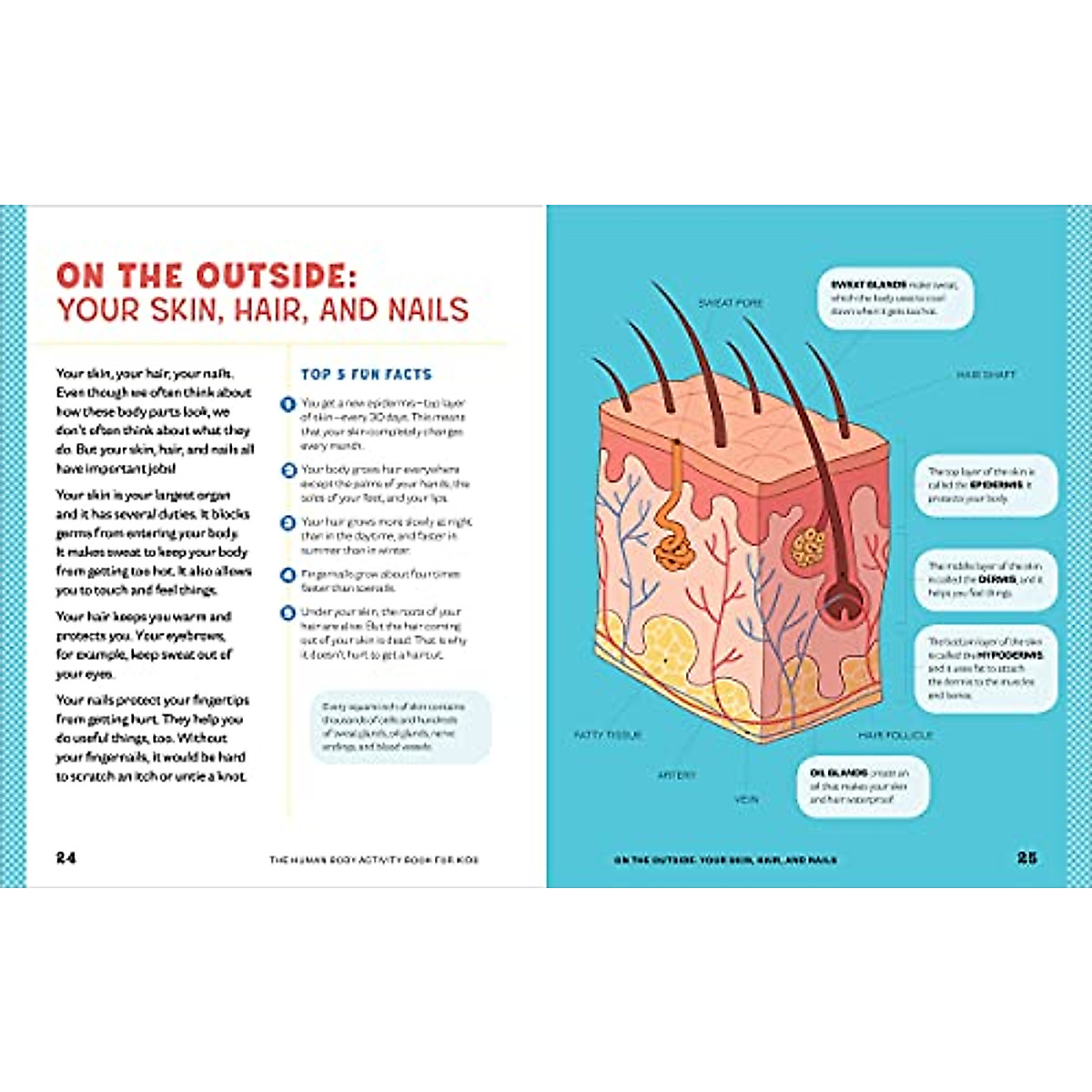 Human Body Activity Book for Kids: Hands-On Fun for Grades K-3