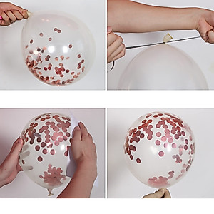 EFAILY Bachelorette Party Decorations - Rose Gold Bridal Shower Party Decor and Supplies Kit Bride To Be Sash, Veil, Temporary Tattoos, Confetti Balloons Pack Fringe Curtain.