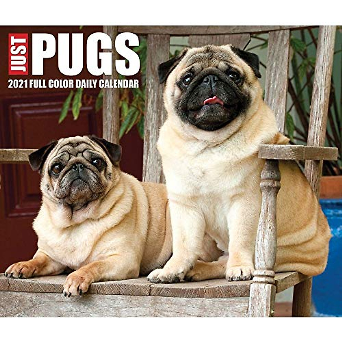 Just Pugs 2021 Box Calendar (Dog Breed Calendar)