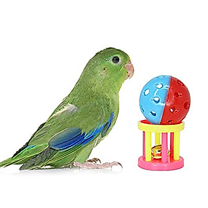 Bonka Bird Toys 1195 Play Three Balls Bell Jingle Budgie Finch Parakeet Lovebird Parrolet