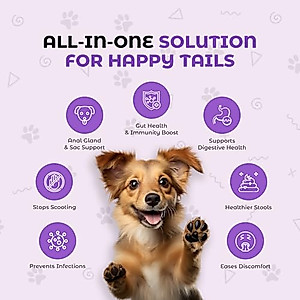 Anal Gland Chews for Dogs, Promotes Gut and Digestive Health, Scoot Stop Supplements, Prevents Infection, Fiber for All Dogs with Pumpkin, Apple Pectin, Bromelain, Duck Flavor, 120 Soft Chews