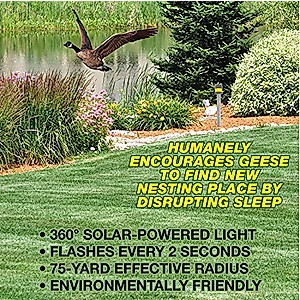 GLOWMAX, Bird Deterrent Device, Nighttime Solution to Repel Geese and Ducks from Lawns, Flashing Night Light Disrupts Sleeping to Discourage Nesting, Set of 1