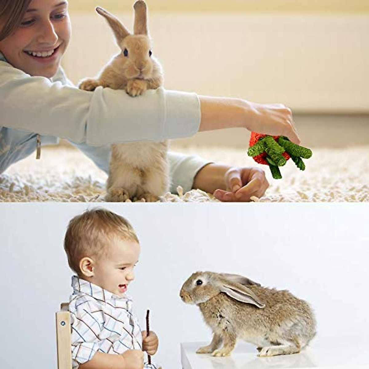 TSLIVE Rabbit Toys, Rabbit, Rabbit Treats, Hamster Toys, Hamster Cage Accessories, Bamboo Sticks, Apple Sticks, Guinea Pig Toys, Small Animal Toys, Bunny Toys, Rabbit Cage Accessories