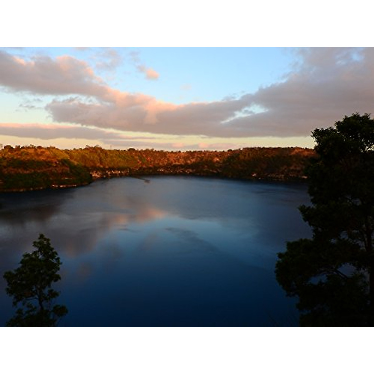 Nikon digital camera COOLPIX P610 (Black) P610BK [Camera]