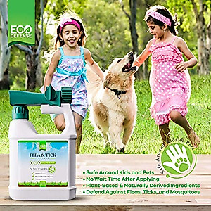 Eco Defense Flea, Tick, and Mosquito Spray for Yard and Perimeter - Safe Around Kids, Pets, Plants - Outdoor Barrier Control & Repellent - Ready-to-Spray Covers Up to 5,000 sq ft