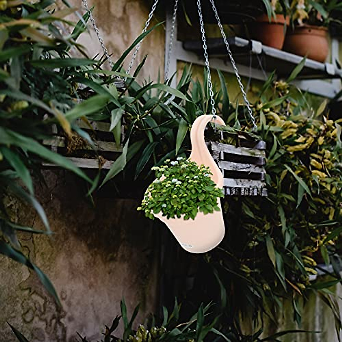 Happyyami Single Hook Hanging Basin pots for Outdoor pots for Indoor Plants Hanging Plant Holders Railing Planter Hanging Baskets for Plants Outdoor Fence Hanging Rail pp Resin Flowers