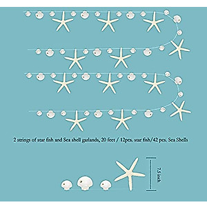 Decor365 Flat Paper White Finger Starfish Sea Shell Garland Ocean Coastal Nautical Party Decoration Starfish Cutouts Hanging Bunting Banner Under The Sea Mermaid Wish Birthday Beach Wedding Decor