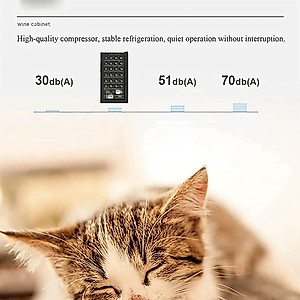 70L Compressor Wine Cooler Refrigerator | Large Freestanding Wine Cellar | 41f-64f Digital Temperature Control Wine Fridge for Red White Champagne or Sparkling Wine