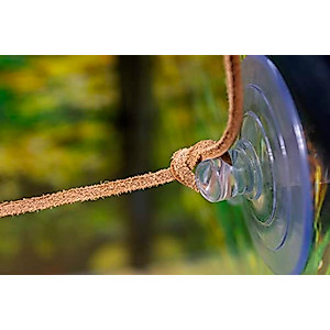 Lizard Lounger Penn-Plax Reptology for Bearded Dragons, Iguanas, and Other Reptiles - Adjustable Hanging (Coconut Climber)