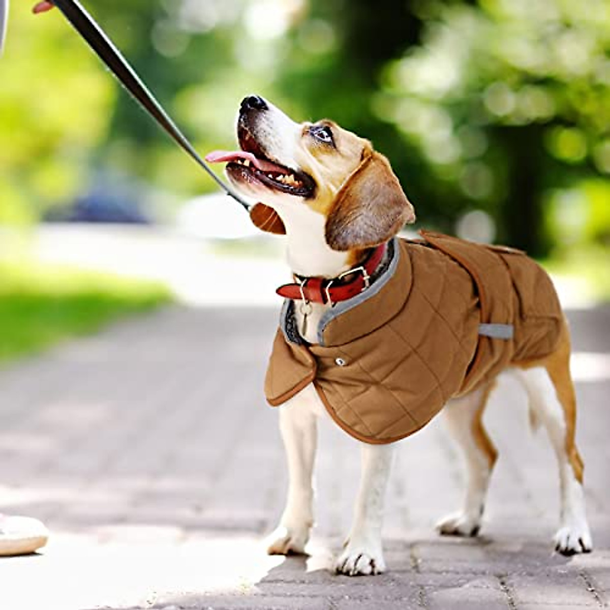 ASENKU Dog Coat for Winter Waterproof Dog Winter Coat Dog Jacket, Dog Hunting Vest for Small Medium and Large Dogs with Pocket & Zipper Leash Hook