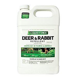 Liquid Fence Deer and Rabbit Repellent Concentrate, Repels Deer and Rabbits in Garden, Harmless to Plants and Animals When Used & Stored as Directed, 1 Gallon