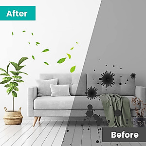 Brightify Air Purifier Filter Replacement for COWAY AP-1512HH Mightty,H13 HEPA Filter Replacement, 2 Pack with 8 Carbon Filters