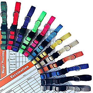 GAMUDA Puppy Collars – Super Soft Nylon Whelping Puppy ID - Adjustable Breakaway Litter Collars Pups – Assorted Colors Plain & Identification Collars with 2 Record Keeping Charts – Set of 12 (S)