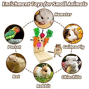 BNOSDM Wooden Foraging Toy for Small Animals Hamster Enrichment Foraging Toys Interactive Spin Guinea Pig Puzzle Toy for Dwarf Hamster Guinea Pig Chinchilla Rat Rabbit Chinchilla Bunny