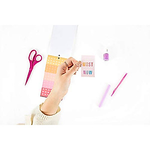 The Happy Planner Sticker Value Pack - Planner Accessories - Save Now Spend Later Theme - Multi-Color - Great for Budgeting & Organizing - 30 Sheets, 1170 Stickers