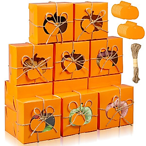 Watersay 24 Pcs Thanksgiving Treat Boxes with Present Tags, 4 x 4 x 2.5 Inch Fall Treat Boxes with Pumpkin Shaped Window Paper Gift Containers for Autumn Party Favors(Orange)