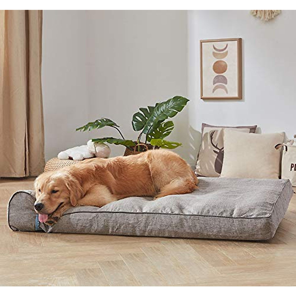 BDEUS 50 x 36 x 6.5In Orthopedic Dog Beds for Large Dogs Clearance Super Thick & Comfortable Pet Bed with Pillow, Washable Cover and Anti-Slip Bottom