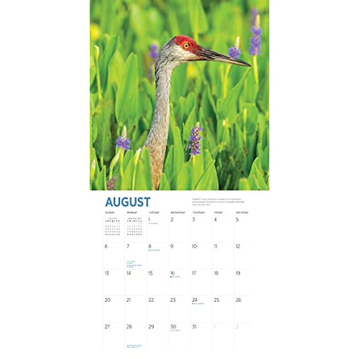 Audubon Nature Wall Calendar 2023: A Year of Breathtaking Vistas
