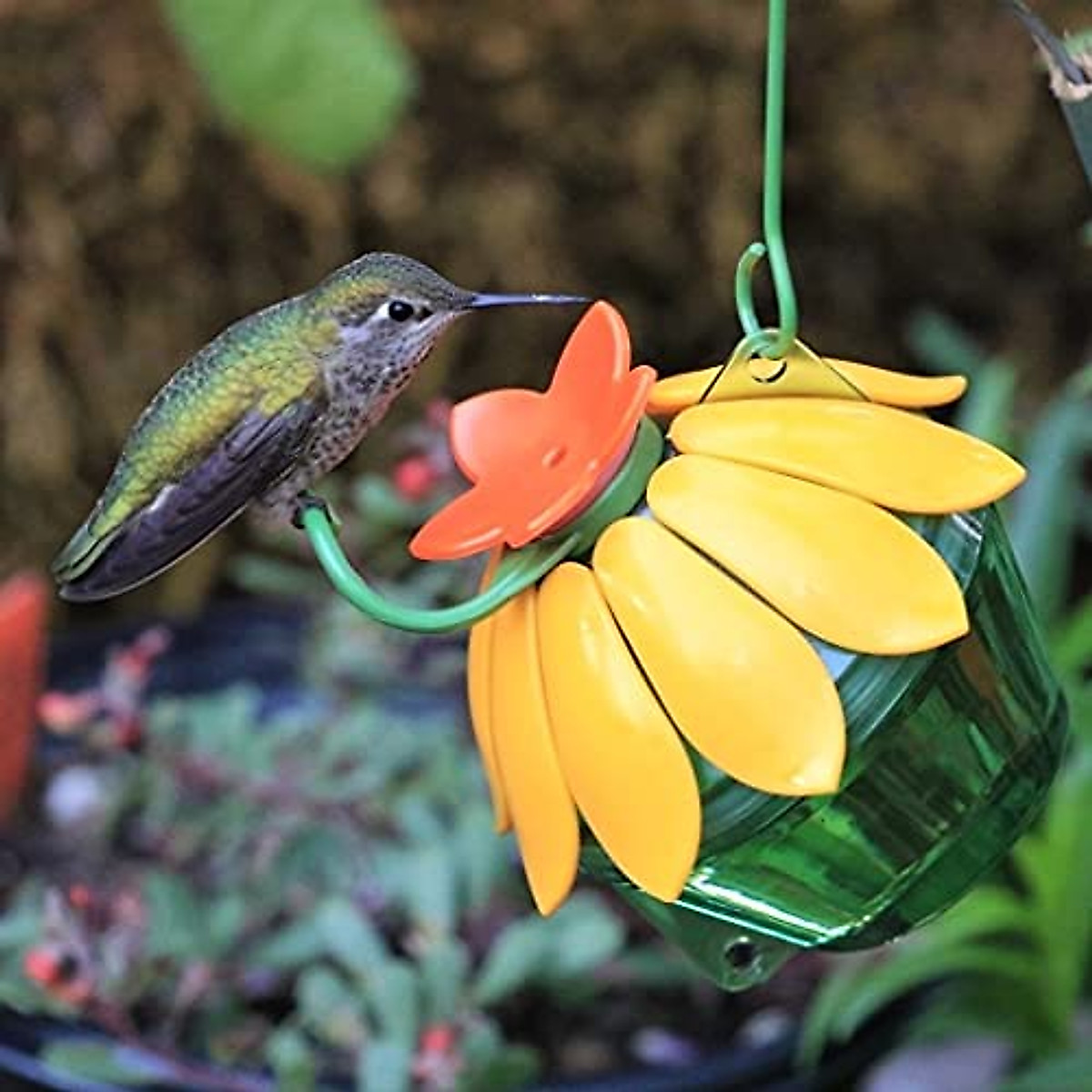 Wild Wings WWSFHF5 So Real Single Flower Hummingbird Feeder, Red/Yellow (2-Pack)