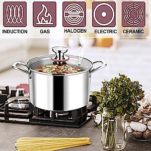 LIANYU 8QT 18/10 Stainless Steel Soup Pot with Lid, 8 Quart Stock Pot With Triple Ply, Heavy Duty Pasta Soup Canning Stockpot, Induction Pot for Boiling Strew Simmer, Big Cookware Cooking Pot