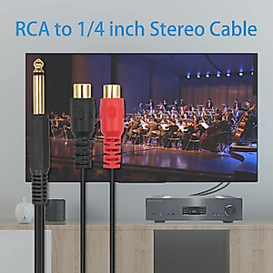 Poyiccot RCA to 1/4 inch Adapter, RCA Female to 6.35mm TS Mono Male Converter, RCA Y Splitter Adapter Audio Cable, RCA to 1/4" Audio Adapter for Mixer, Amp, Subwoofer, 20cm / 7.8inch