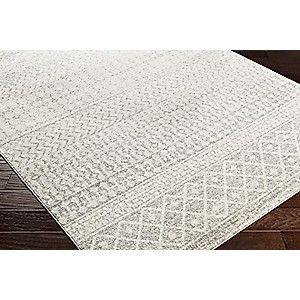 Artistic Weavers Chester Boho Moroccan Area Rug,3' x 5',Grey
