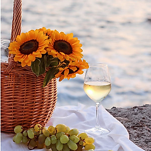 Dicunoy 4 Pack Unbreakable Stemmed Wine Glasses, 15 oz Tritan Outdoor Wine Glasses, Hard Plastic Goblets Glassware, Reusable, BPA-Free, Classic Wine Cups for Patio, Poolside, Camping