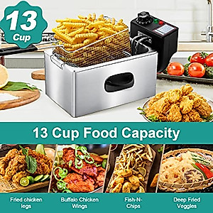 SUEWRITE Deep Fryer with Basket, 4.2 Qt Stainless Steel Electric Deep Fryer 1650W Oil Fryer Pot with Temperature Control Cool Touch Sides Silver