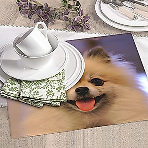 Happy short-haired pomeranian Printed Drying Mat For Kitchen Ultra Absorbent Microfiber Dishes Drainer Mats Non-Slip Silicone Quick Dry Pad - 18 X 16inch