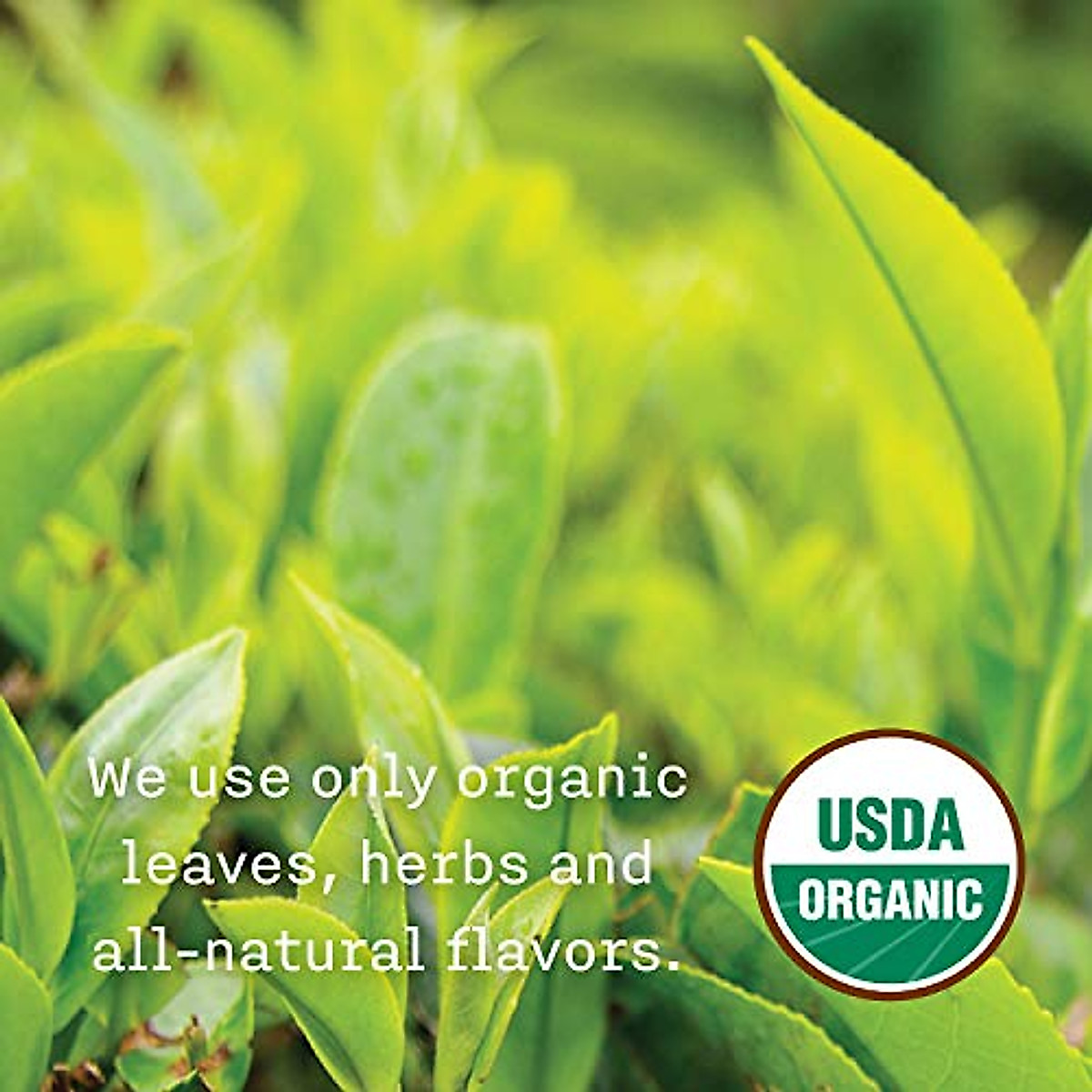 Allegro Tea Organic Ginger Peach Black Tea Bags, 20 Count