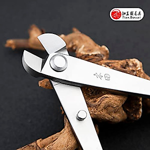 Professional Grade Wire Cutter Bonsai Tools 4Cr13MoV Alloy Steel 205 Mm