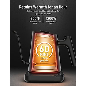 Paris Rhône Gooseneck Electric Kettle, Temperature Variable Electric Kettle for Coffee Tea Brewing, 0.9L Stainless Steel Tea Kettle, 1H Temperature Holding, Built-in Stopwatch for Gift