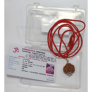 IndianStore4All 6 Mukhi Nepal Rudraksha Penadnt 100% Original Six Face Rudraksha