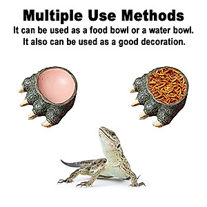 BNOSDM 2 Pack Reptile Food Bowls Amphibian Feeding Resin Dish,Reptile Tank Decor Bowl for Lizards, Chameleon, Leopard Gecko, Frog, Bearded Dragons, Snake, Hermit Crabs, Turtle Spider Pet