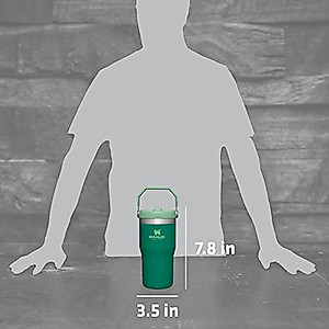 Stanley IceFlow Stainless Steel Tumbler with Straw - Vacuum Insulated Water Bottle for Home, Office or Car - Reusable Cup with Straw Leakproof Flip - Cold for 12 Hours or Iced for 2 Days (Alpine)