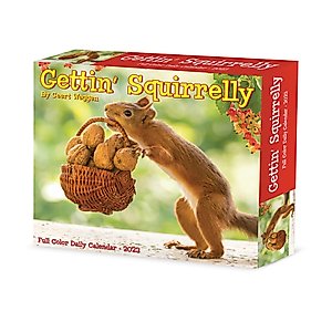 Gettin' Squirrelly 2023 Box Calendar