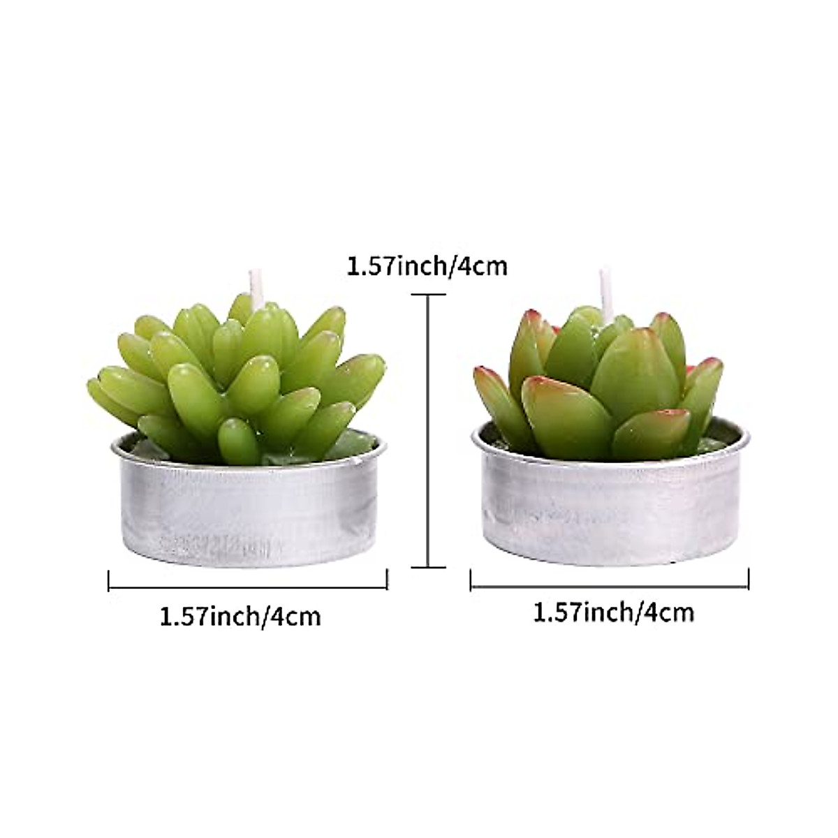 12 Pcs Cactus Tealight Candles Delicate Succulent Cactus Candles for Valentine's Day Birthday Party Wedding Spa Home Decoration Gifts