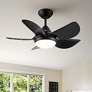 IQCSXLQ Black Low Profile Ceiling Fan with Lights and Remote, Small Bedroom Ceiling Fan with Light and Remote Enclosed, Modern Ceiling Fan for Kitchen Dining Room Living Room Patio (30 Inch, Black)