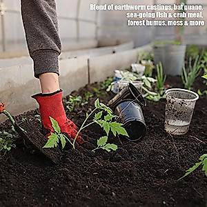 FoxFarm Ocean Forest Potting Soil Organic Mix Indoor Outdoor For Garden And Plants - Organic Plant Fertilizer - 38.5 Quart (1.5 cu ft). - (Bundled with Pearsons Protective Gloves) (1 Pack)