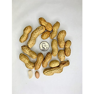 Executive Deal Peanuts in Shell for Birds, Squirrels, Deers, and Wildlife - 2 lb, 32 Ounces