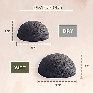 CSM Organic Konjac Sponges 3-Pack for Gentle Exfoliating - Facial Cleansing Sponge with Activated Bamboo Charcoal to Clean Pores, Remove Impurities, Exfoliate - 2 Black, 1 White Natural Sponge