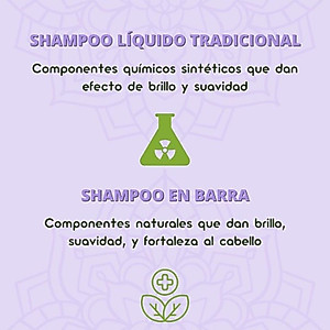 Shampoo natural de Romero | Rosemary Bar Shampoo and Conditioner Bar for Hair Growth | Shampoo Bar & Conditioner Bar for Strengthening Hair + 2 Travel Tins | Eco Friendly | No wasted | PANAVAYU