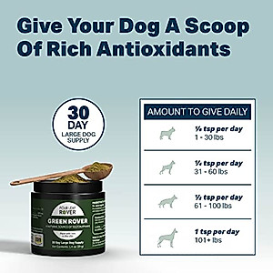 Four Leaf Rover Green Rover - Super Greens with Organic Broccoli Sprout and Spirulina Powder for Dogs - 15 to 120 Day Supply, Depending on Dog’s Weight - Liver Support - Vet Formulated