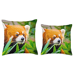 Red Panda Gifts Red Panda Throw Pillow, 18x18, Multicolor