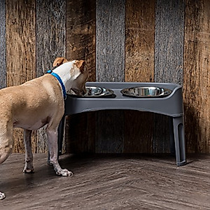 IRIS USA Large Elevated Pet Feeder with Attachable Legs and 2 Stainless Steel Bowls, For Small to Large Dogs Cats with 2 Quart Bowls and 12"H Legs Raised Pet Feeding Station, Dark Gray