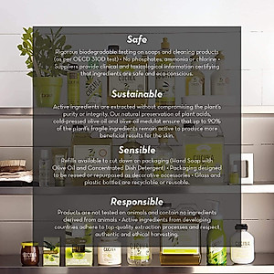 Fruits & Passion [Cucina] - Sanguinelli Orange & Fennel Hand Care Duo Caddy Gift Set | Liquid Hand Soap Wash (5.1 oz) with Hand Cream Lotion (6.8 oz)